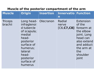 lecture 5a Scapular region Brachium.pdf