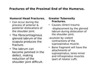 lecture 5a Scapular region Brachium.pdf