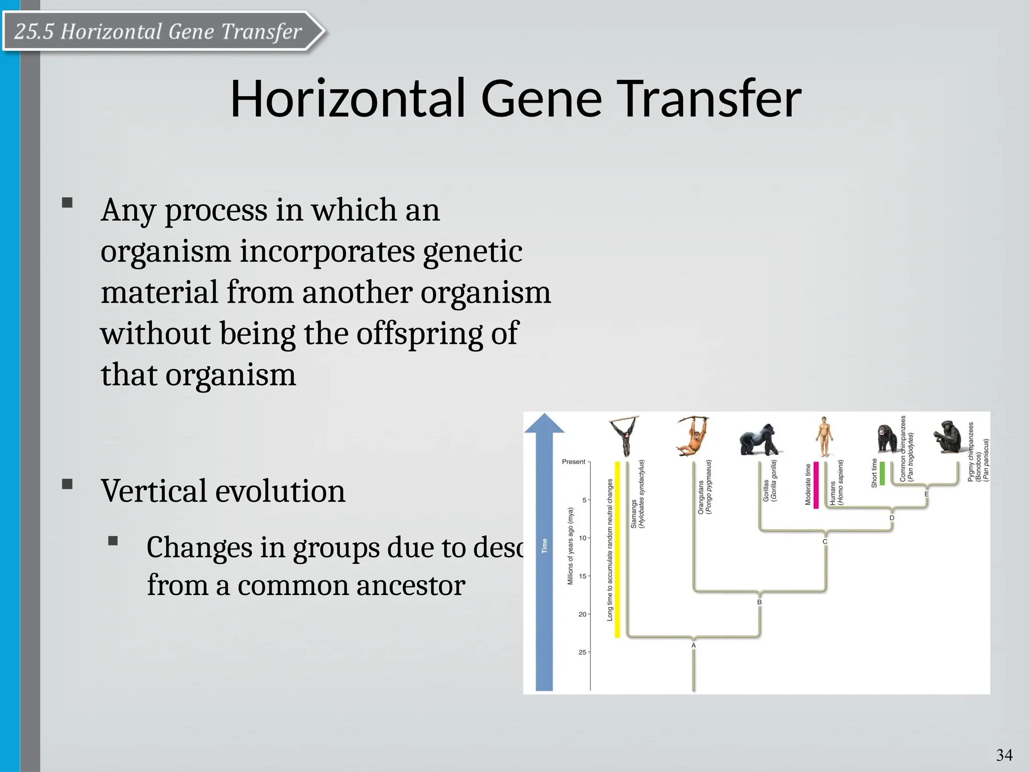Presentation: Taxonomy Systematics pptx | PPTX