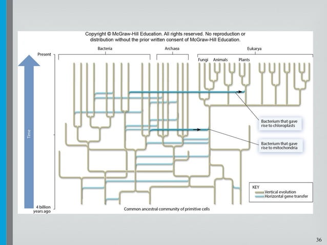 Presentation: Taxonomy Systematics pptx | PPT