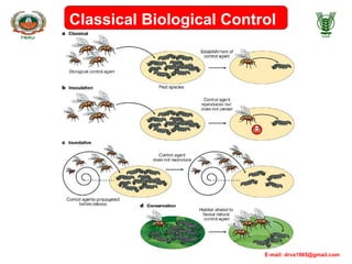LECTURE_5_Biological_Control in Microbiology.ppt
