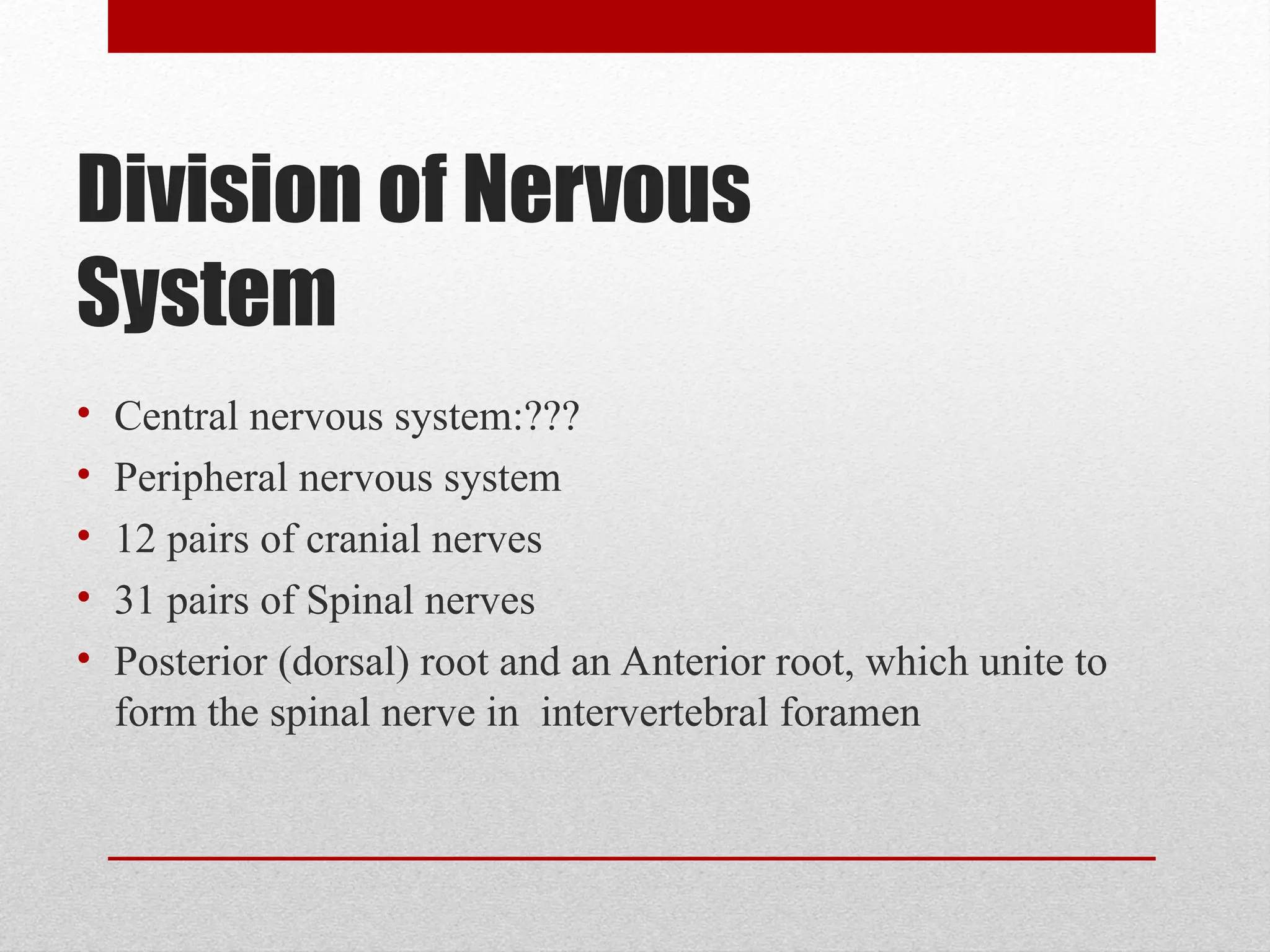 Lecture 5 BIOMECHANICS OF PERIPHERAL NERVE AND SPINAL NERVE ROOTS.ppt