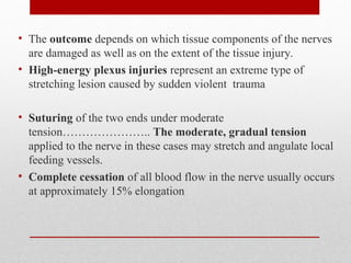 Lecture 5 BIOMECHANICS OF PERIPHERAL NERVE AND SPINAL NERVE ROOTS.ppt