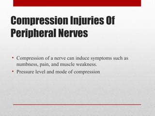 Lecture 5 BIOMECHANICS OF PERIPHERAL NERVE AND SPINAL NERVE ROOTS.ppt