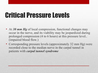 Lecture 5 BIOMECHANICS OF PERIPHERAL NERVE AND SPINAL NERVE ROOTS.ppt