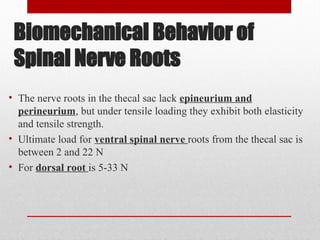Lecture 5 BIOMECHANICS OF PERIPHERAL NERVE AND SPINAL NERVE ROOTS.ppt