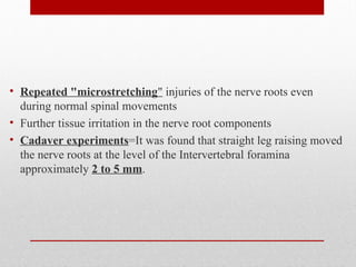 Lecture 5 BIOMECHANICS OF PERIPHERAL NERVE AND SPINAL NERVE ROOTS.ppt