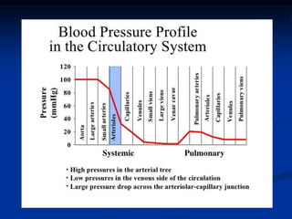 LECTURE 5_Monitoring of Blood Pressure.ppt