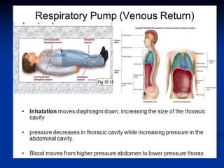 LECTURE 5_Monitoring of Blood Pressure.ppt