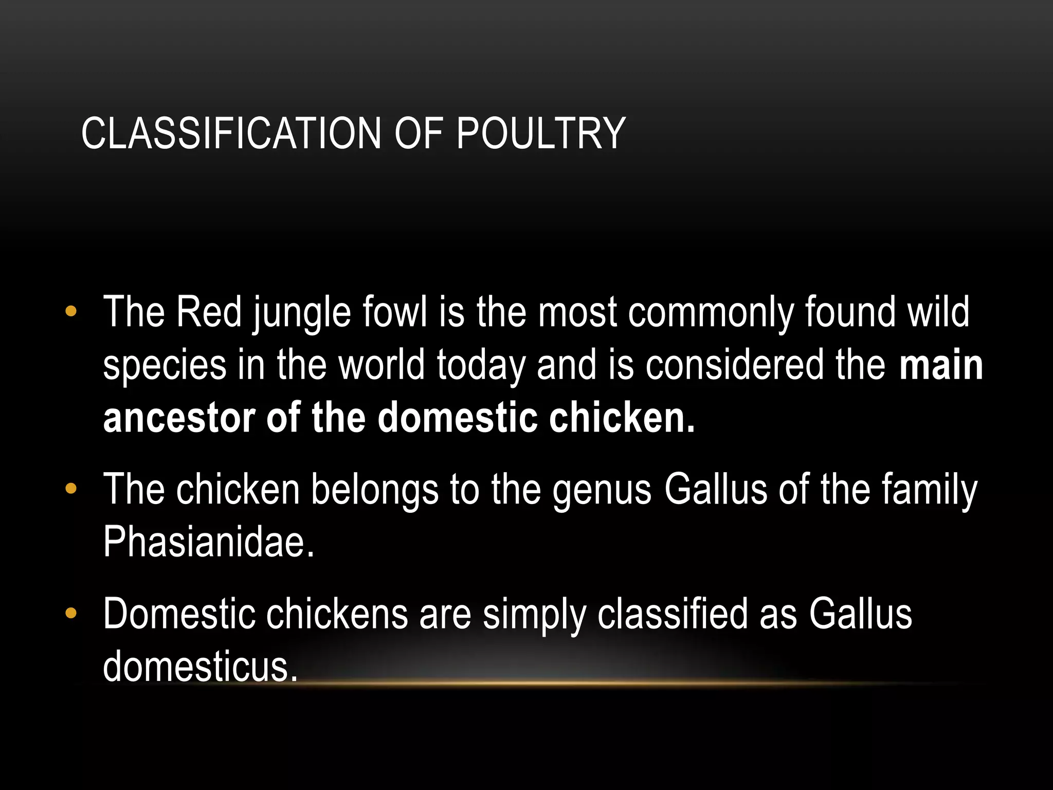 Lecture 5 breeds of poultry | PPTX