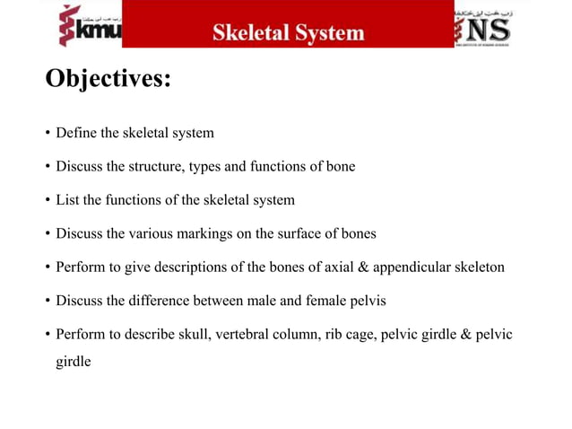 Lecture 5 (B) Skeletol System 2.pptx