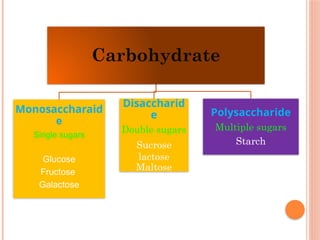 Lecture 5 carbohydrate. Mbbs topic biochemistry | PPTX