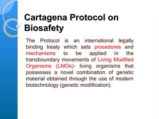 Cartagena Protocol on Biosafety-Cartagena Protocol on Biosafety | PPT