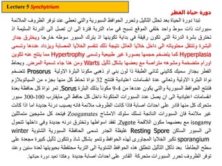 Lecture 5 Chytridiomycota. Chytrids are saprobic, degrading refractory ...