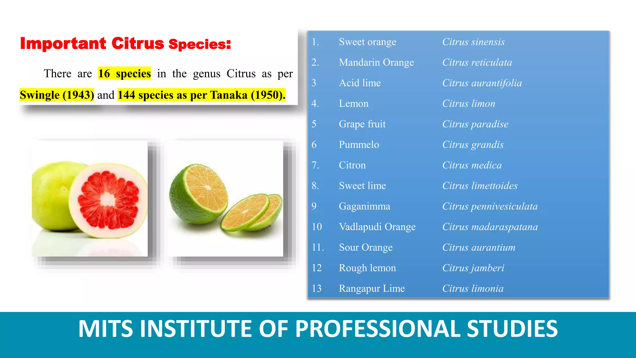 Cultivation practices of Citrus | PPTX