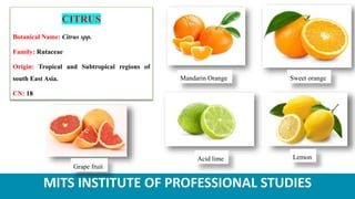 Cultivation practices of Citrus | PPTX
