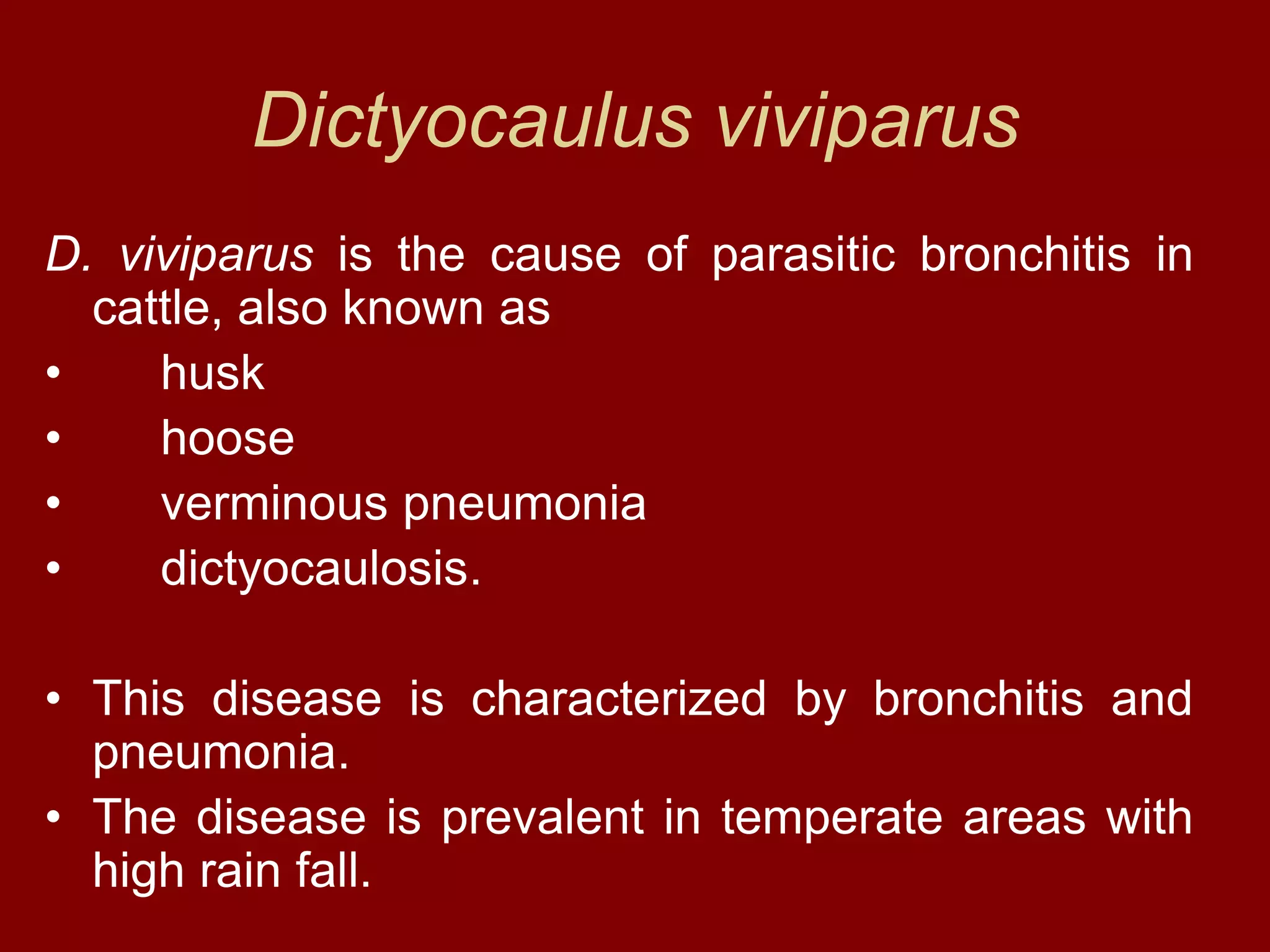 Lecture 5 dictyocalaus | PPT