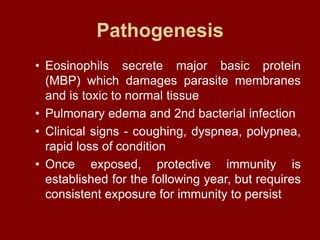 Lecture 5 dictyocalaus | PPT