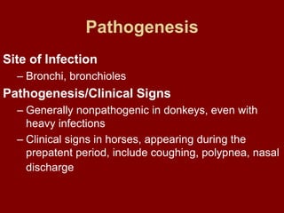 Lecture 5 dictyocalaus | PPT
