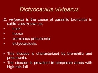 Lecture 5 dictyocalaus | PPT