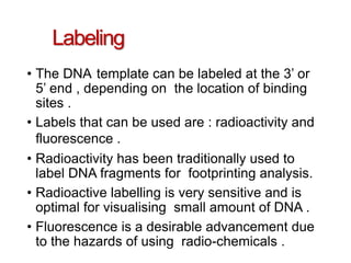 Lecture 5 dna finger, foot printing rflp | PPT