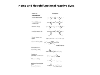 Lecture 5 dyeing of cotton with reactive dyes | PPT