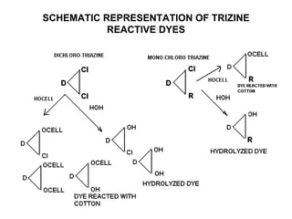 Lecture 5 dyeing of cotton with reactive dyes | PPT