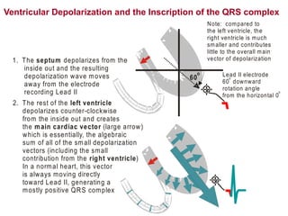 Lecture 5 Ecg lecture ECG Lecture Educational.pptx