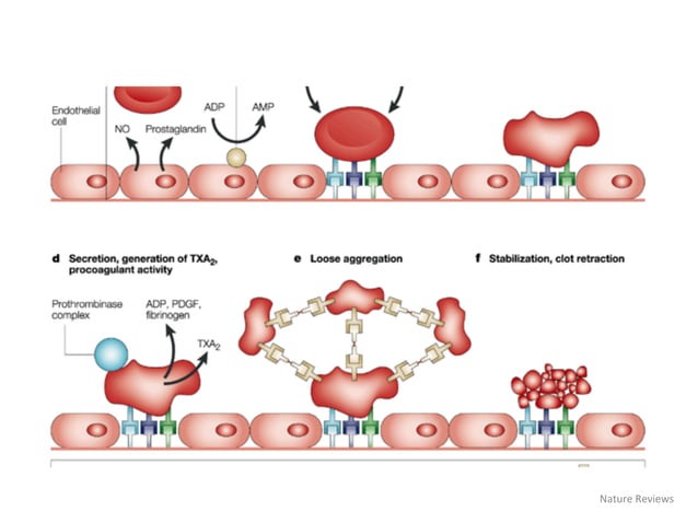 Lecture 5, fall 2014 pdf | PPT
