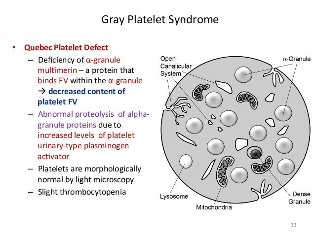 Lecture 5, fall 2014 pdf