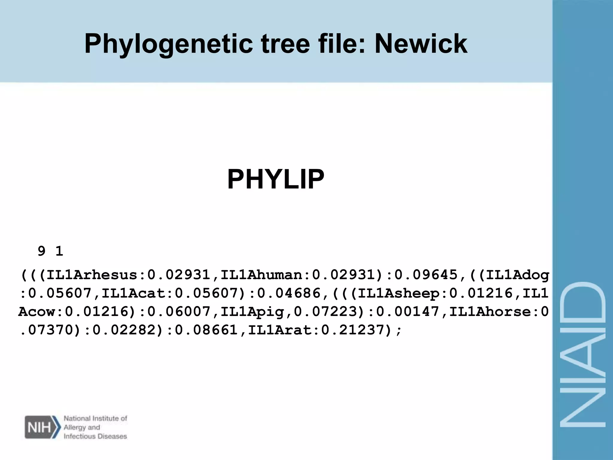 Phylogenetics: Making publication-quality tree figures | PPTX