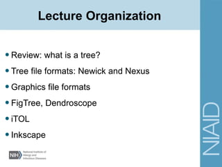 Phylogenetics: Making publication-quality tree figures | PPTX