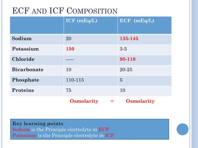Lecture_5 Fluids.pptx