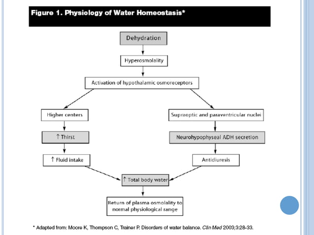 Lecture_5 Fluids.pptx