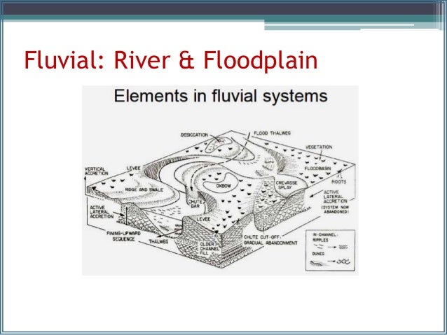 Fluvial