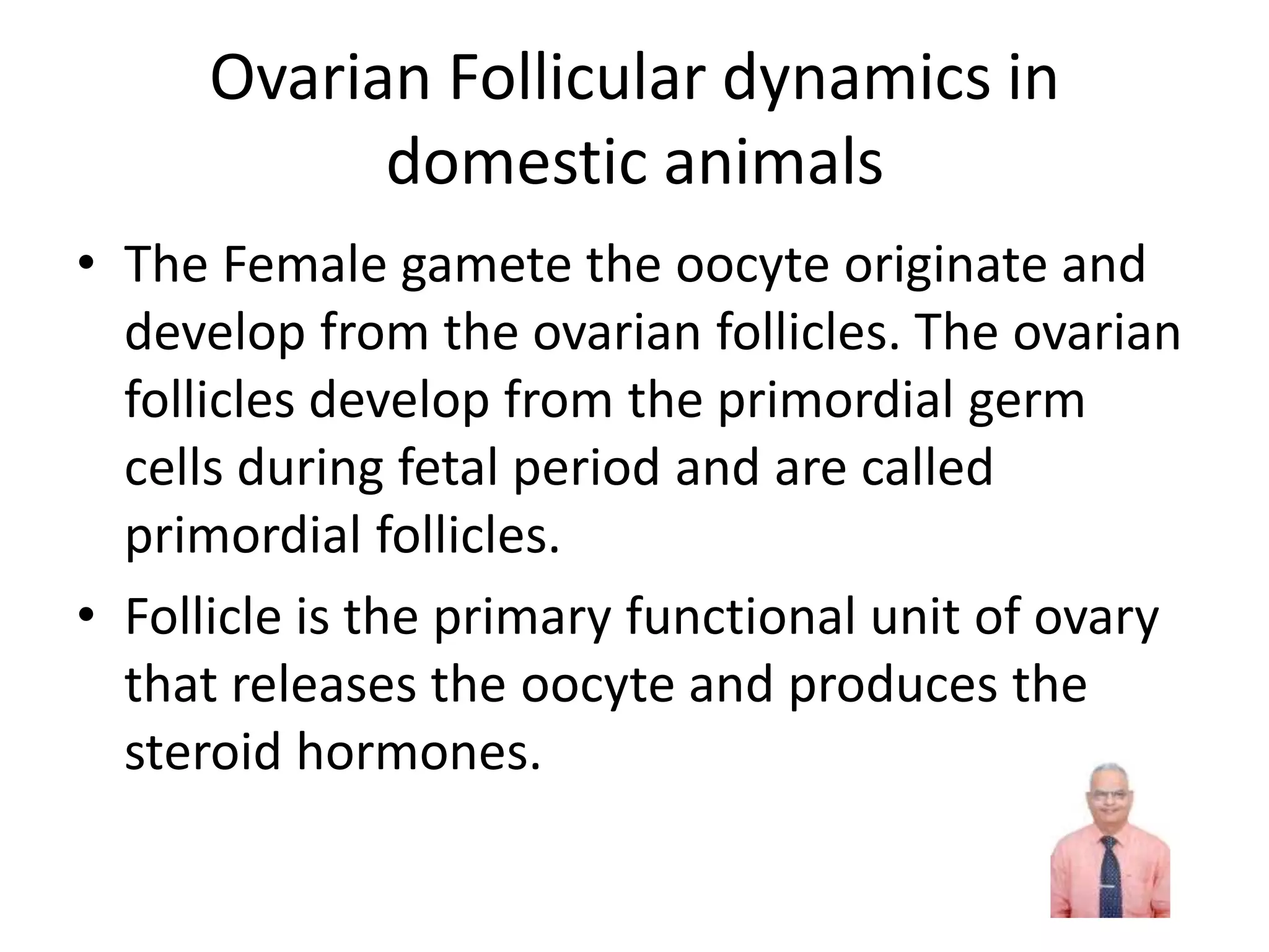 Lecture 5 follicular dynamics in domestic animals | PDF