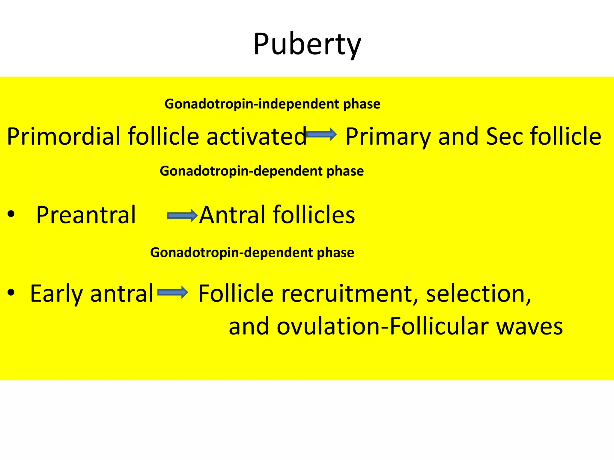 Lecture 5 follicular dynamics in domestic animals | PDF
