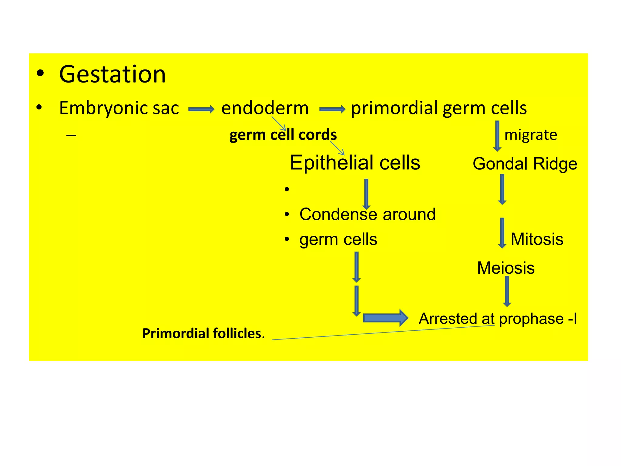 Lecture 5 follicular dynamics in domestic animals | PDF