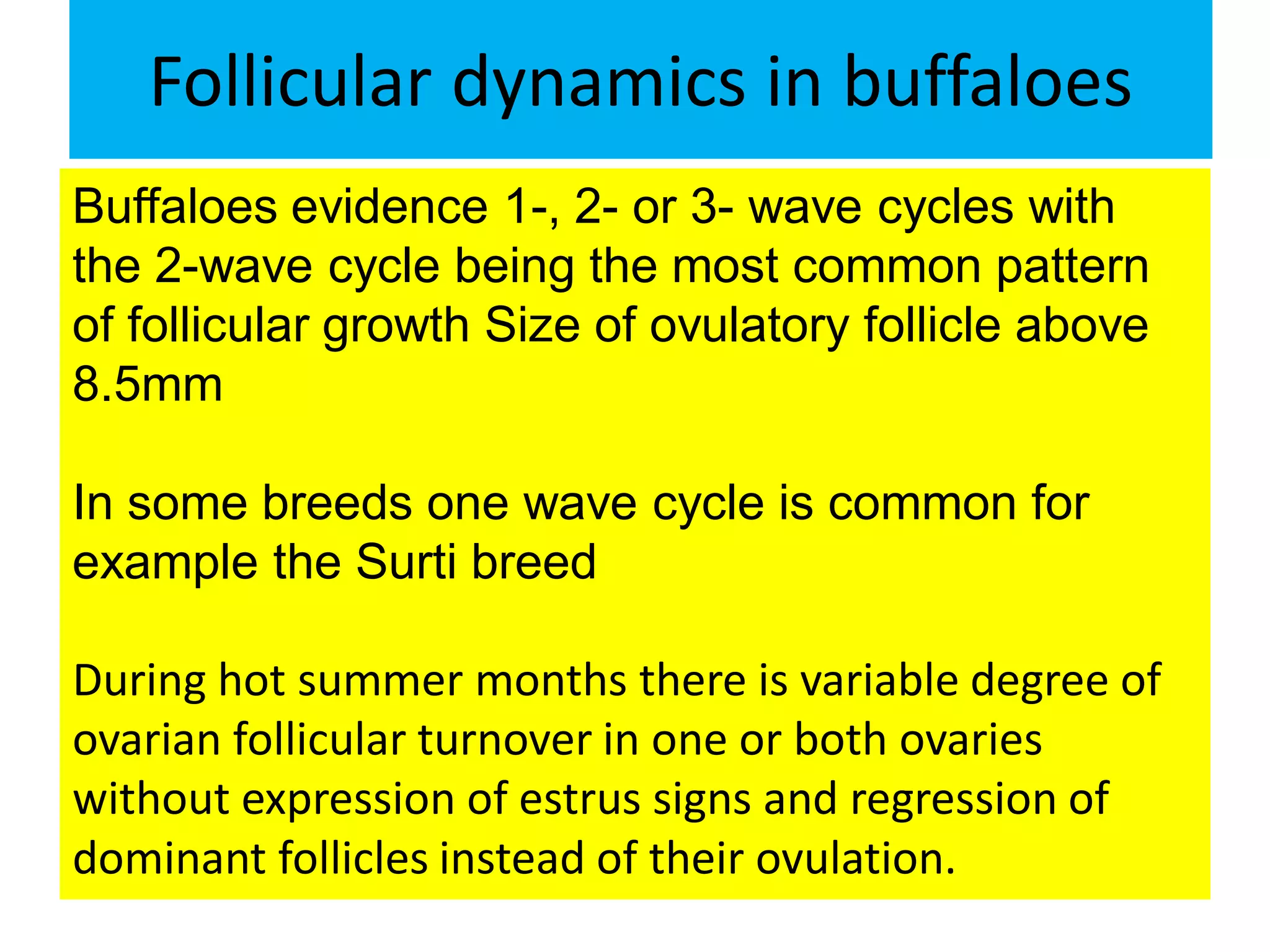 Lecture 5 follicular dynamics in domestic animals | PDF
