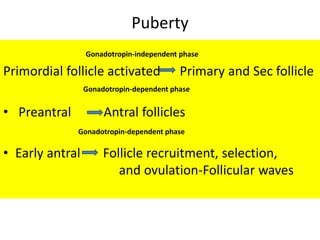 Lecture 5 follicular dynamics in domestic animals | PDF