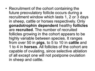 Lecture 5 follicular dynamics in domestic animals | PDF
