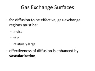 Lecture 5 gas exchange | PDF