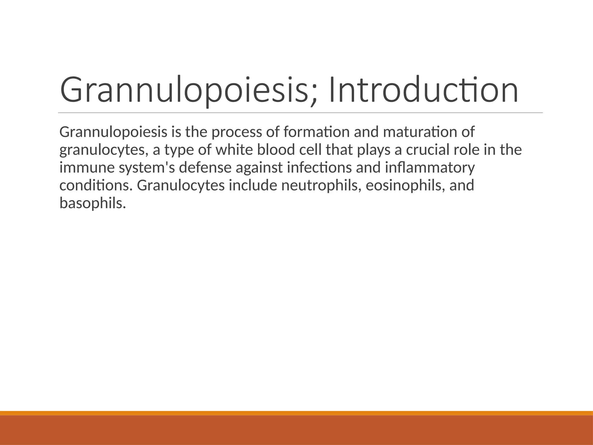 Granulocytes include neutrophils, eosinophils, and basophils | PPTX