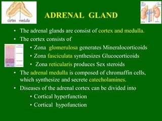 Lecture 5 ( Hyperadrenalism pathology).pdf
