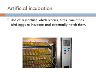 Lecture 5 Incubation Requirements - Copy.pptx