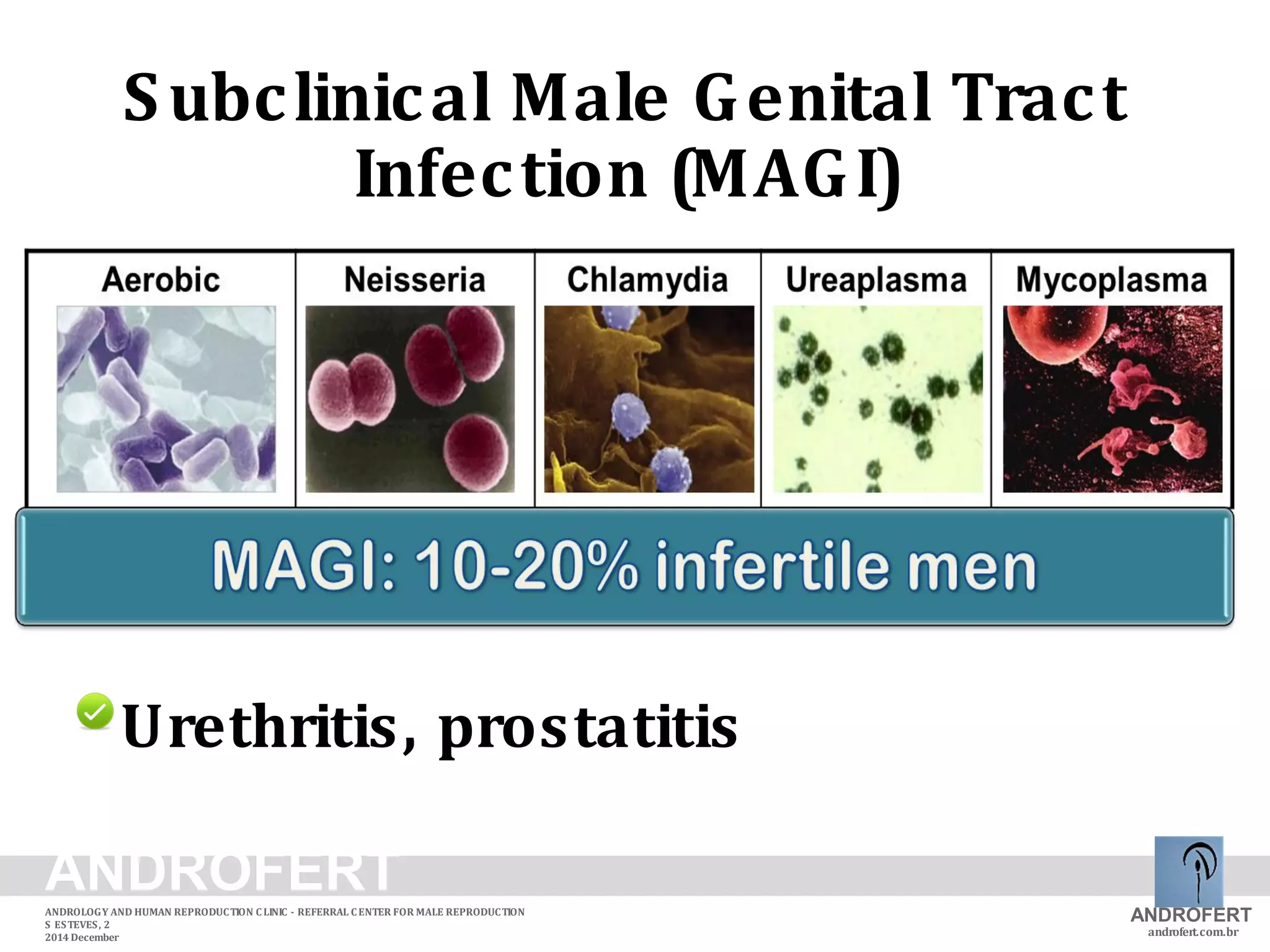 Subclinical Infections and Male Infertility | PDF