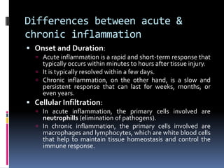 LECTURE 5 INFLAMMATION.pptx