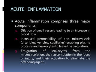 LECTURE 5 INFLAMMATION.pptx