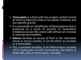 LECTURE 5 INFLAMMATION.pptx