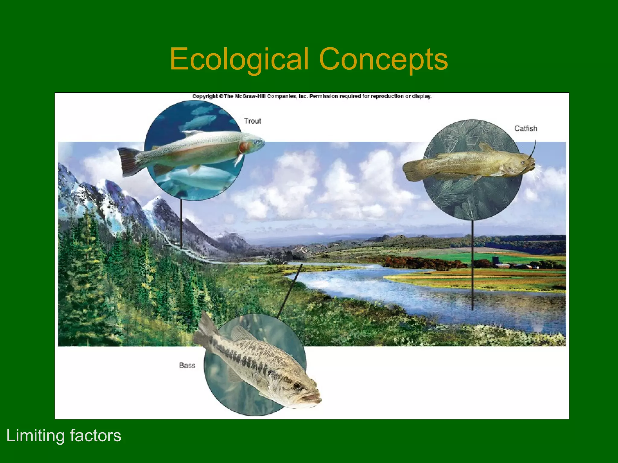 Lecture 5 interactions | PPT